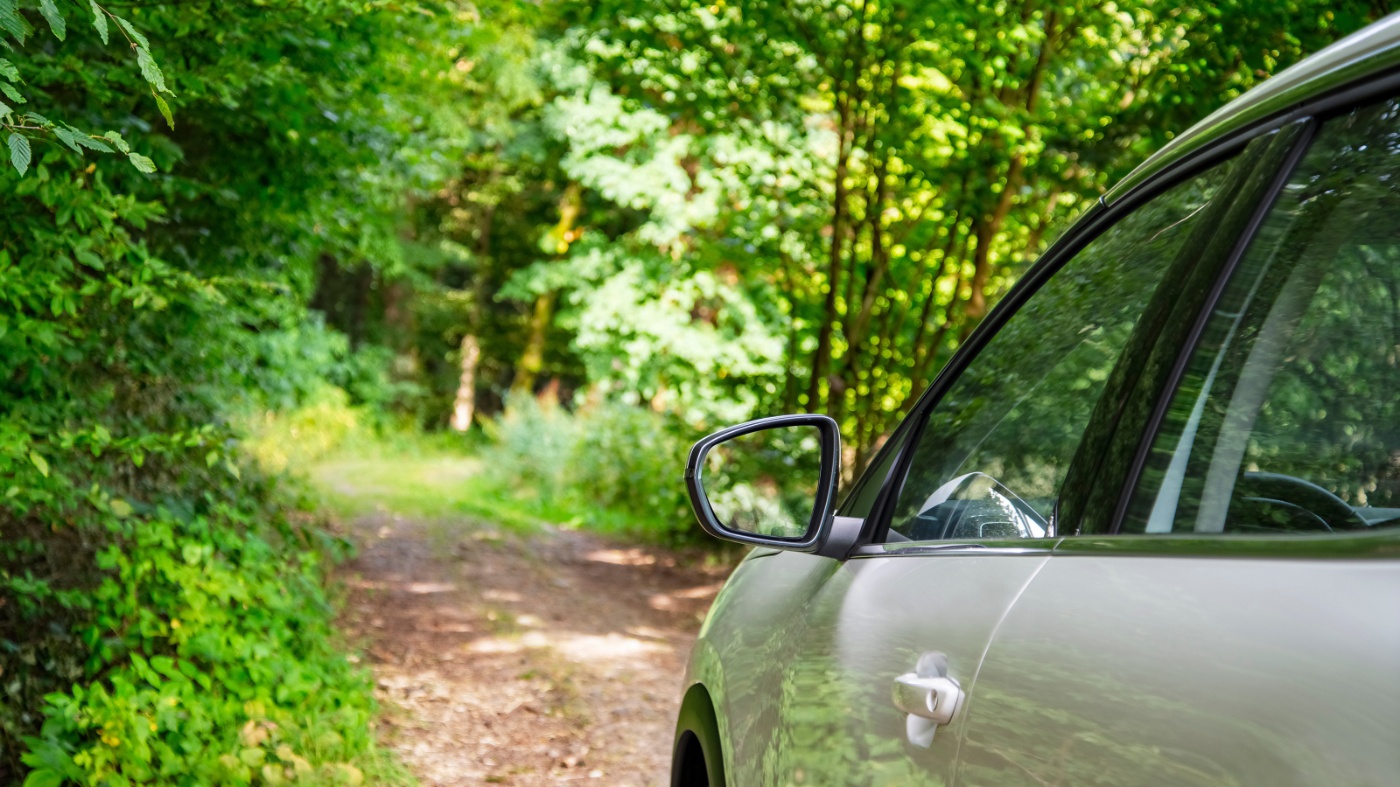 Production and market in Germany June 2024 | VDA